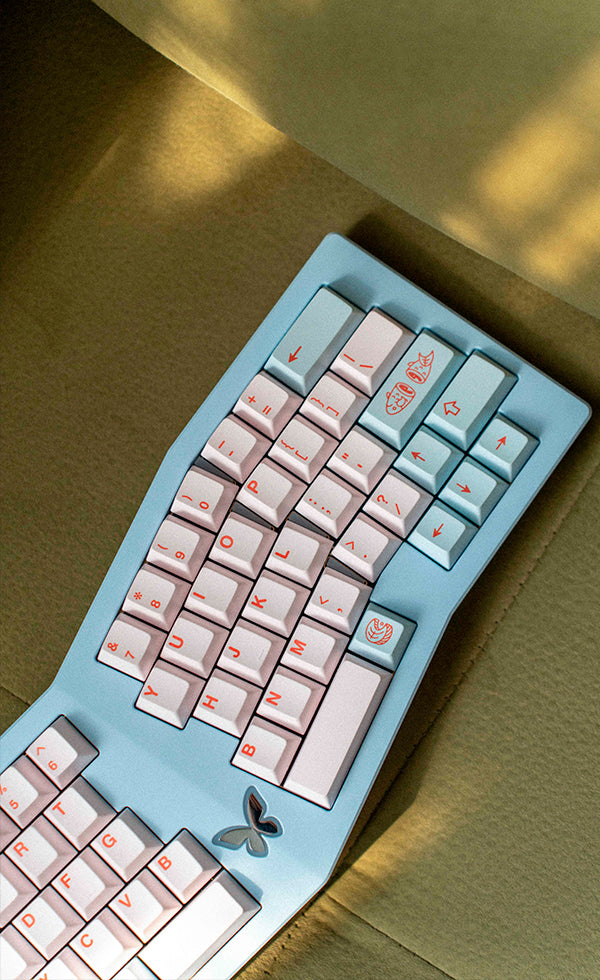 Fancy Customs I Chile