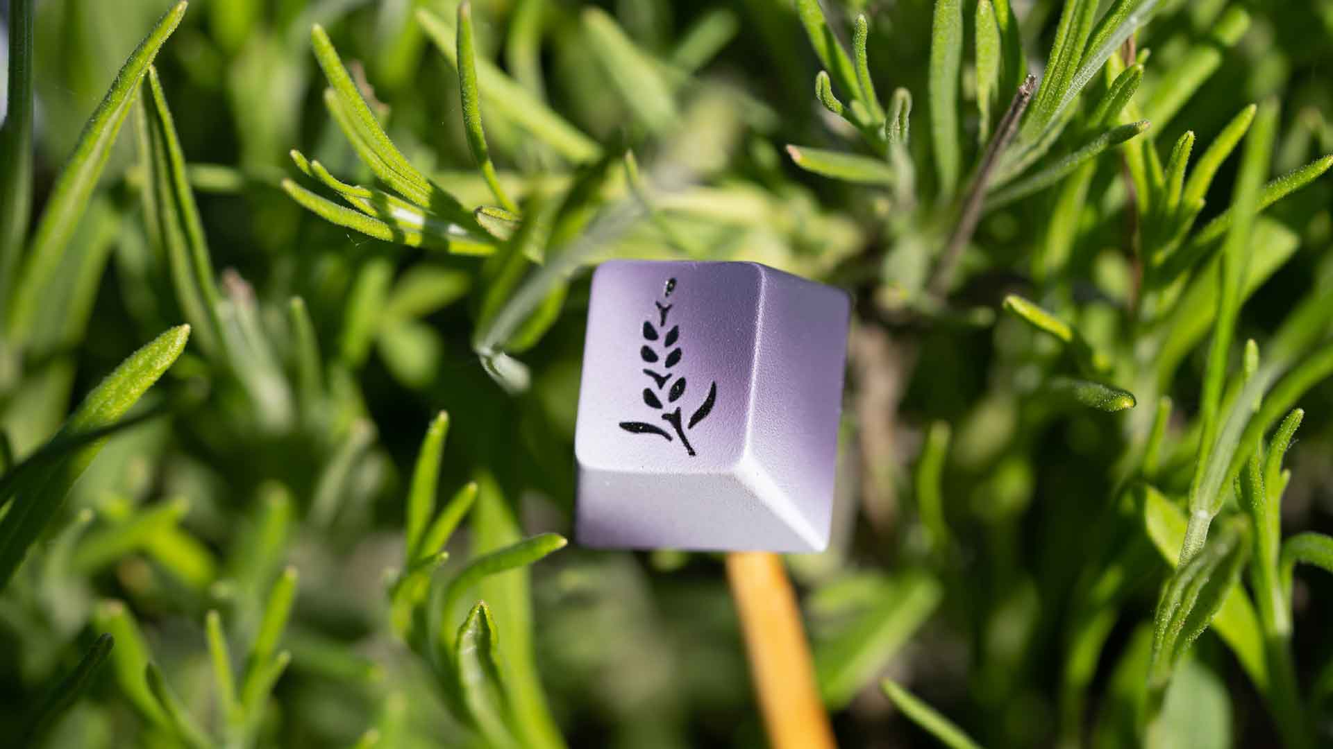 GMK Lavender X Salvun Keycap