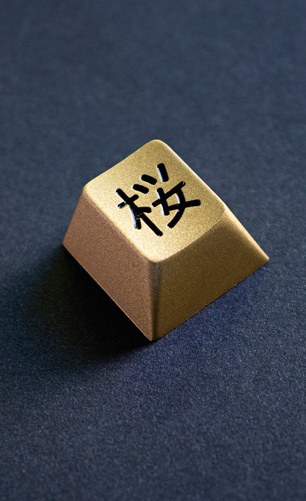 Fancy Customs I Chile